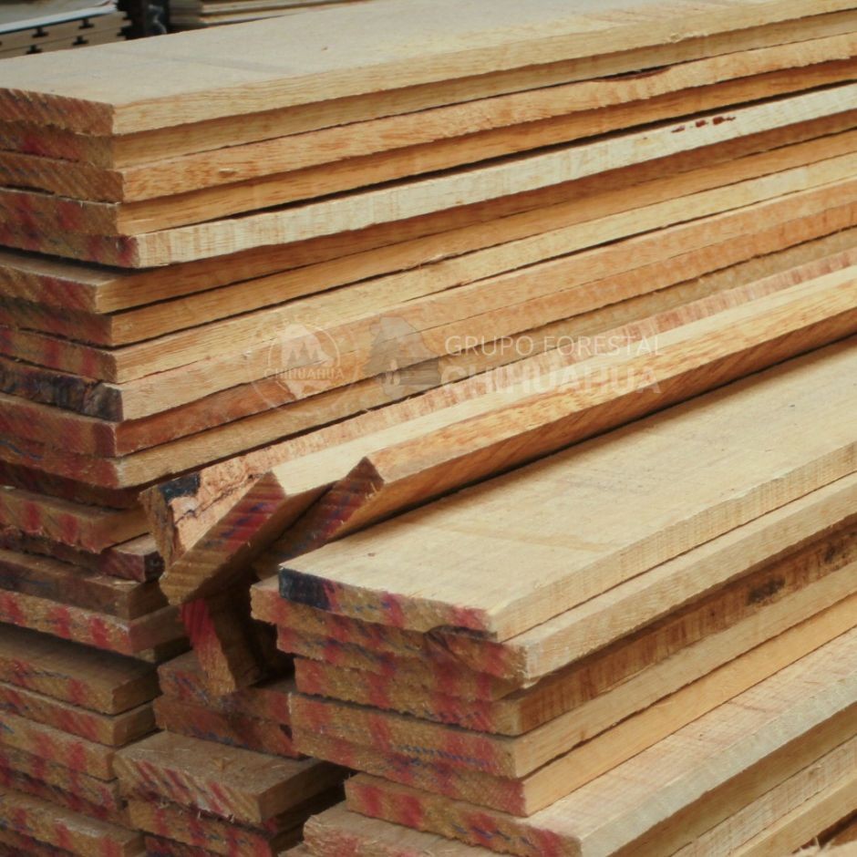 MADERERIA CHIHUAHUA - GRUPO FORESTAL CHIHUAHUA